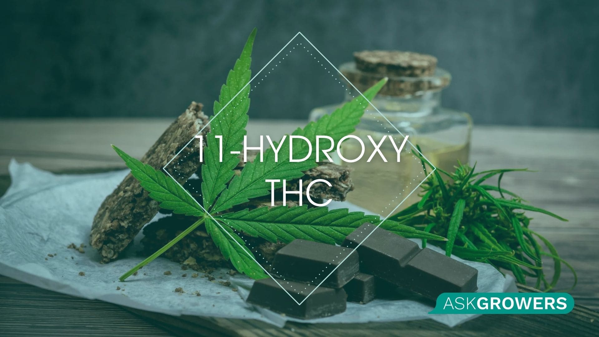 What Is 11 Hydroxy THC AskGrowers